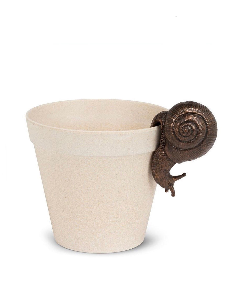 Snail Plant Buddy – Abel Mountain