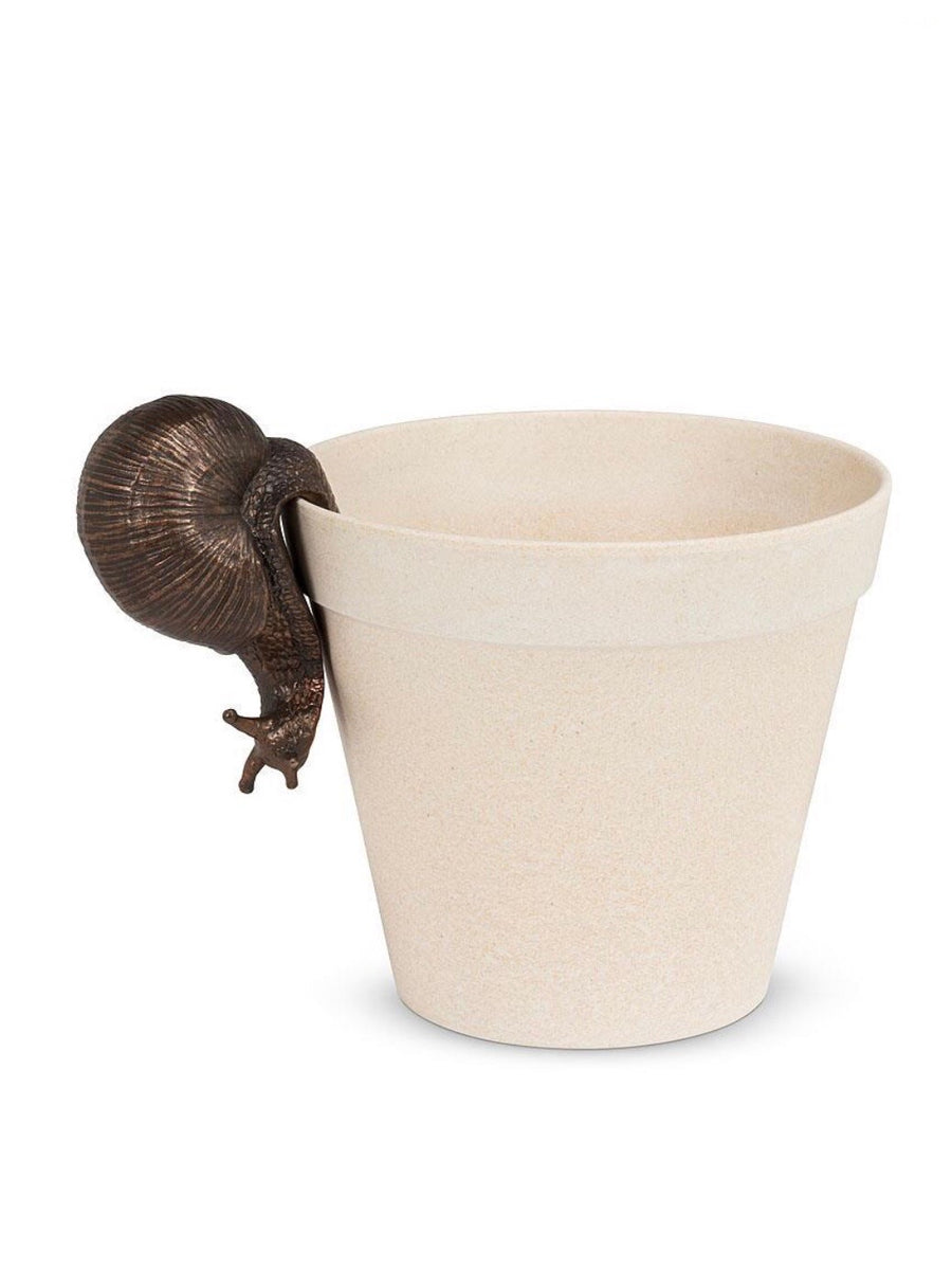 Snail Plant Buddy – Abel Mountain